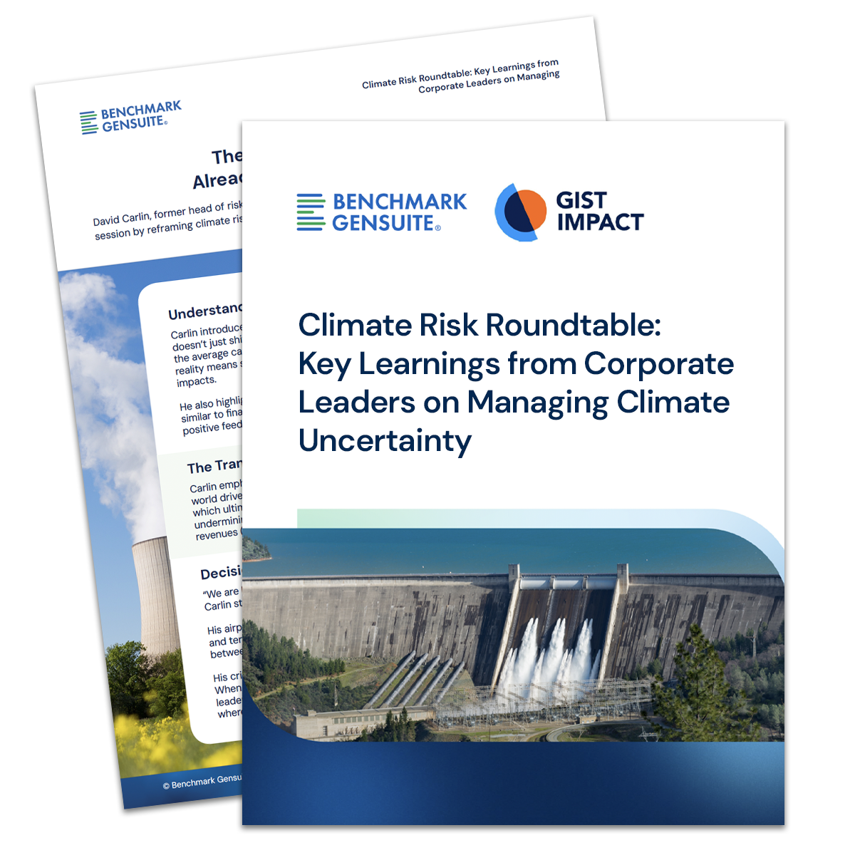 Climate Risk White Paper | Lessons From Global Leaders